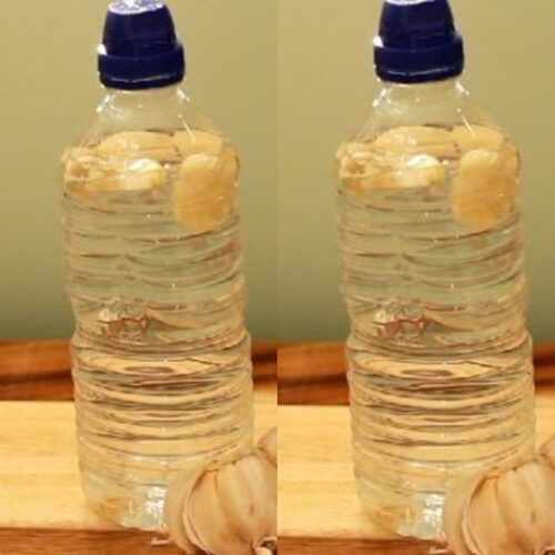 The Benefits and Risks of Drinking Garlic Water – TheirSearches