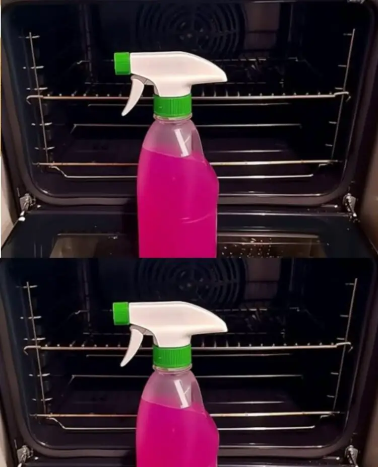 Stop Buying Harsh Oven Cleaners! Try This Natural Homemade Cleaner ...
