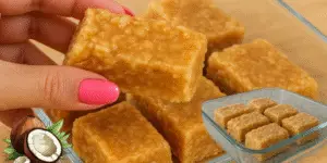 Quick & Easy Coconut Candy Recipe – Perfect for Family Desserts ...