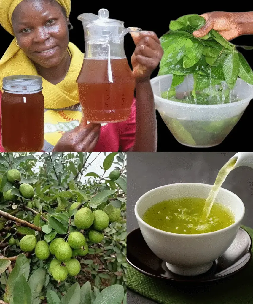 17 Reasons to Drink Guava Leaf Tea Twice a Week – TheirSearches